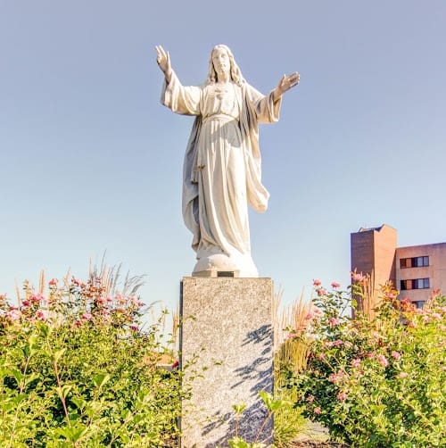 SSM Health DePaul Hospital- Saint Louis in Bridgeton, MO Reviews & Info ...