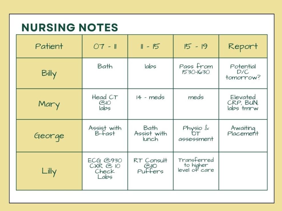 Transitioning to Nursing Practice: What to Expect Year One | Vivian ...